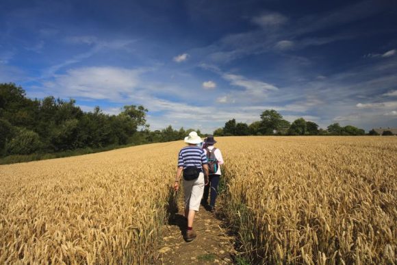 Backtracking on Campaign Promises – Tralfaz